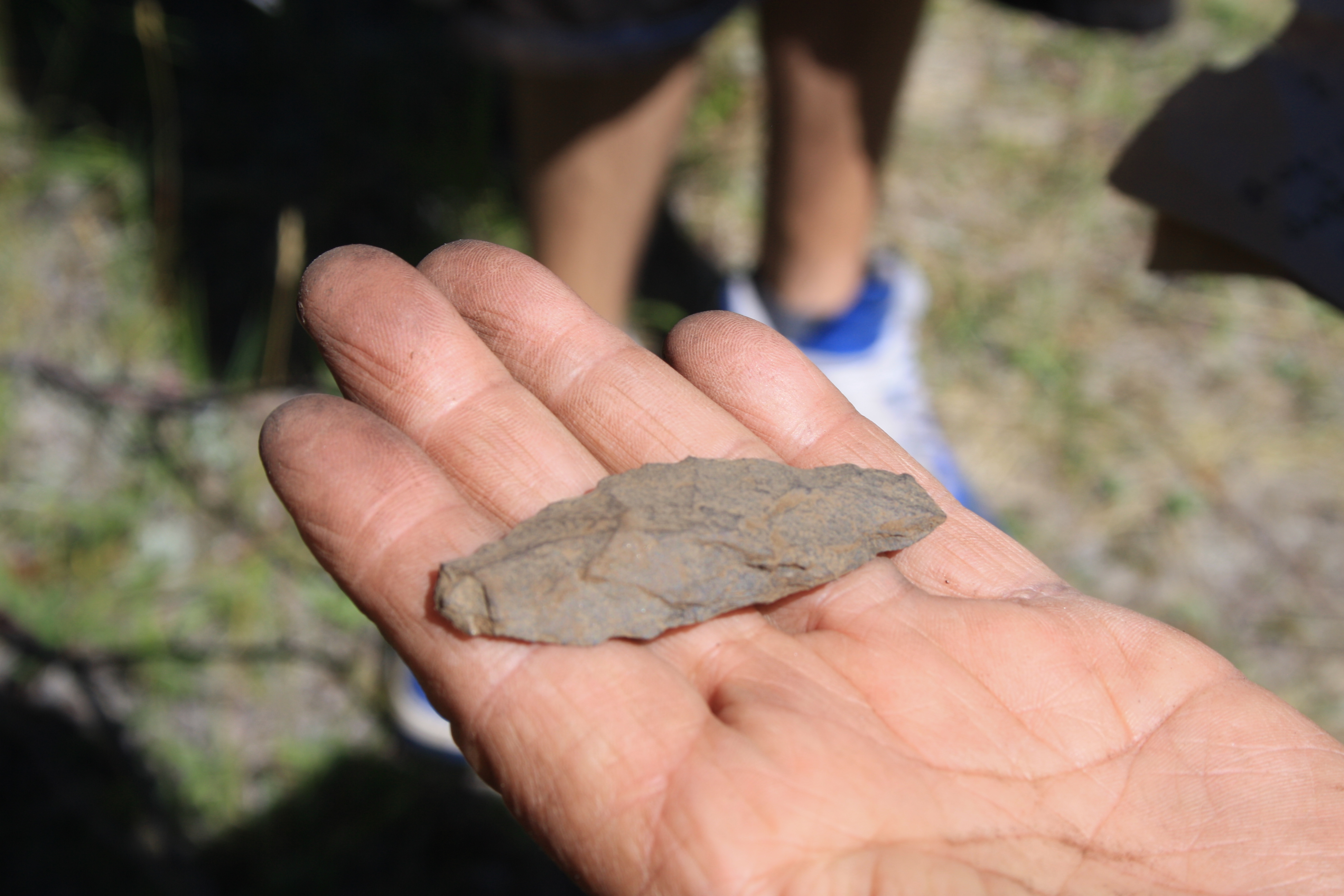 Thông tin về khoá học | ARCH1100_W1 - Exploring Archaeology (Fall 2024 ...
