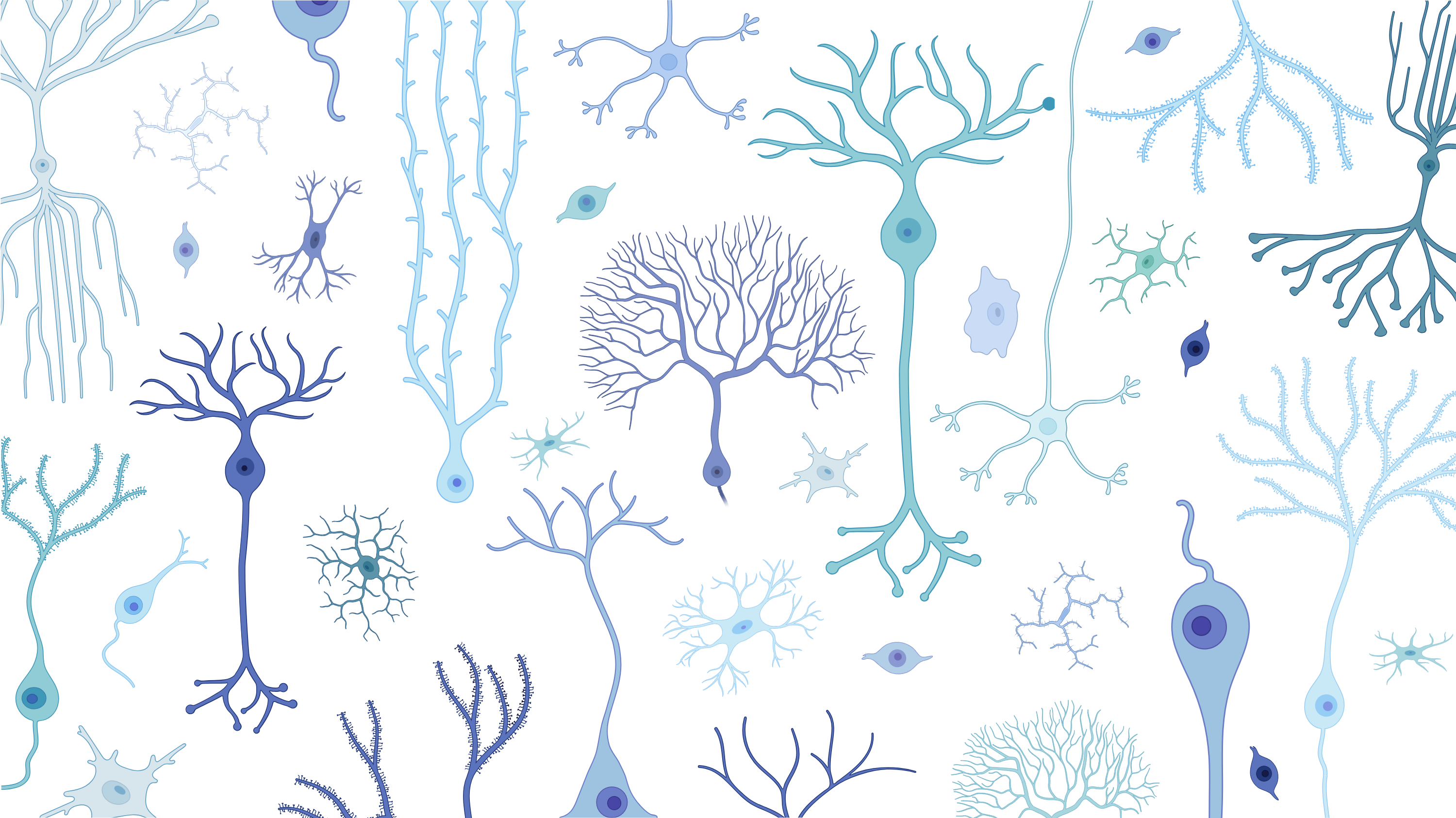 Course information | BIOL1592_02 - Human Biol: Anatomy/Physiol 1 (Fall ...