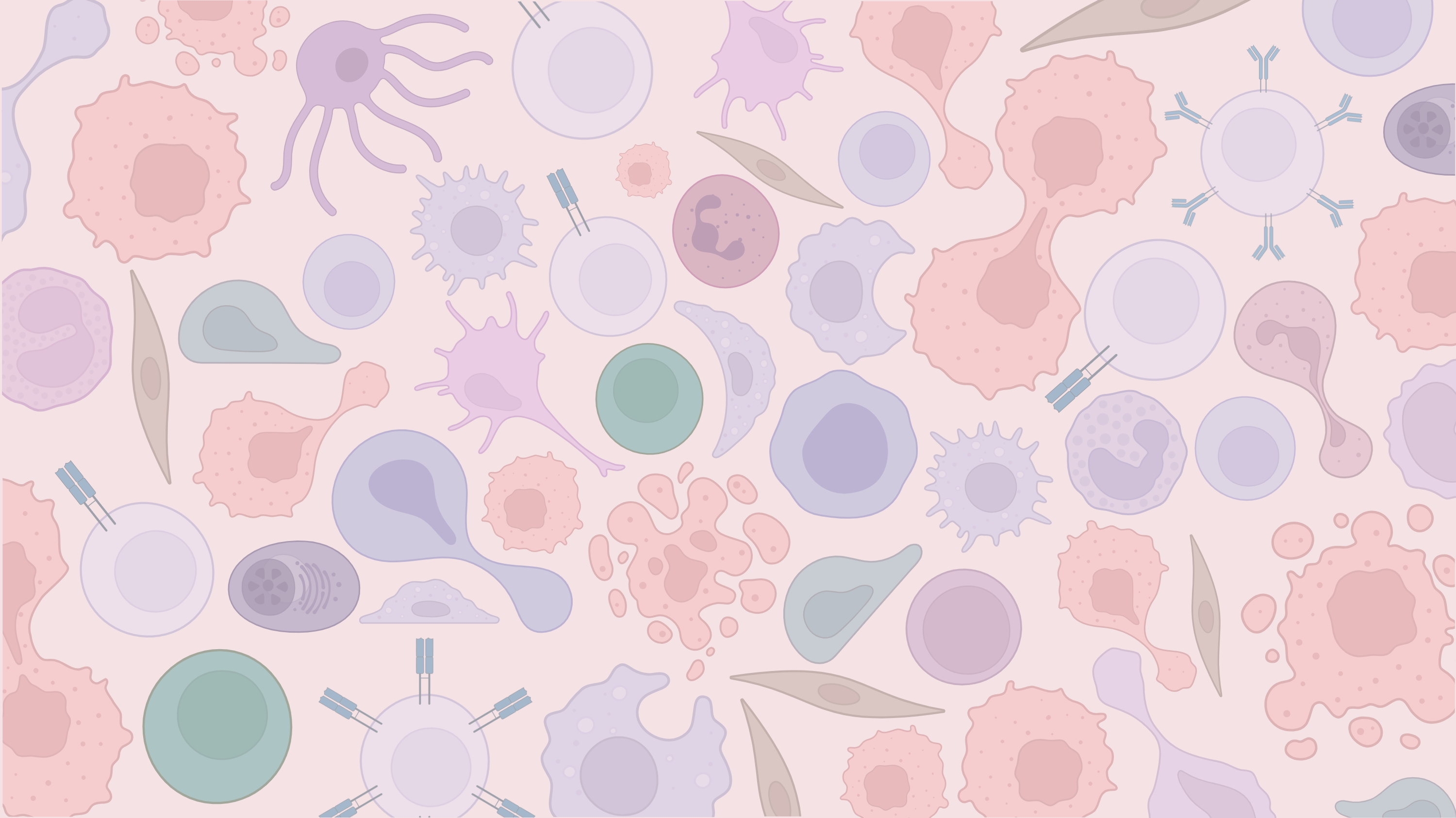 Cursusinformatie | BIOL1692_NU1 - Human Biol: Anatomy/Physiol 2 (Winter ...