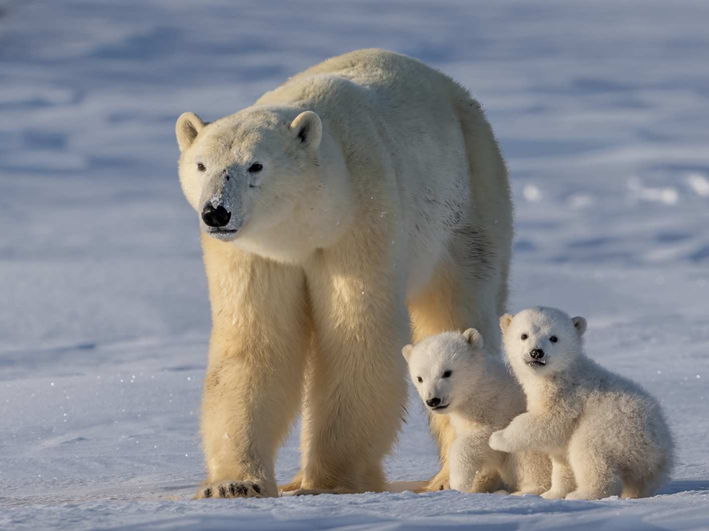 Course information | GEOG1100_01 - Intro Environ Studies/Sustain (Fall ...