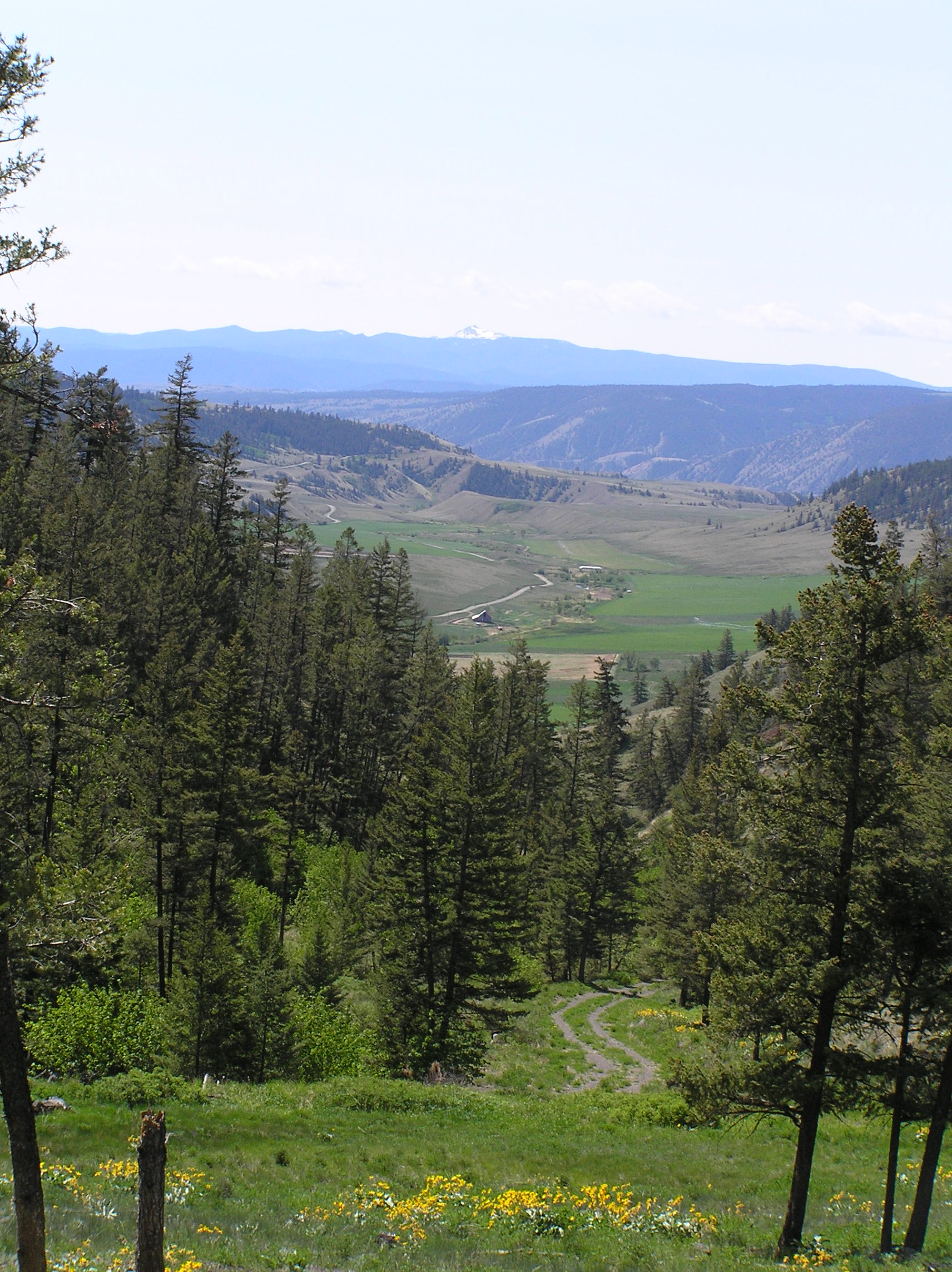 Información del curso | SOCI2010_W1 - Race and Ethnicity (Fall 2025 ...